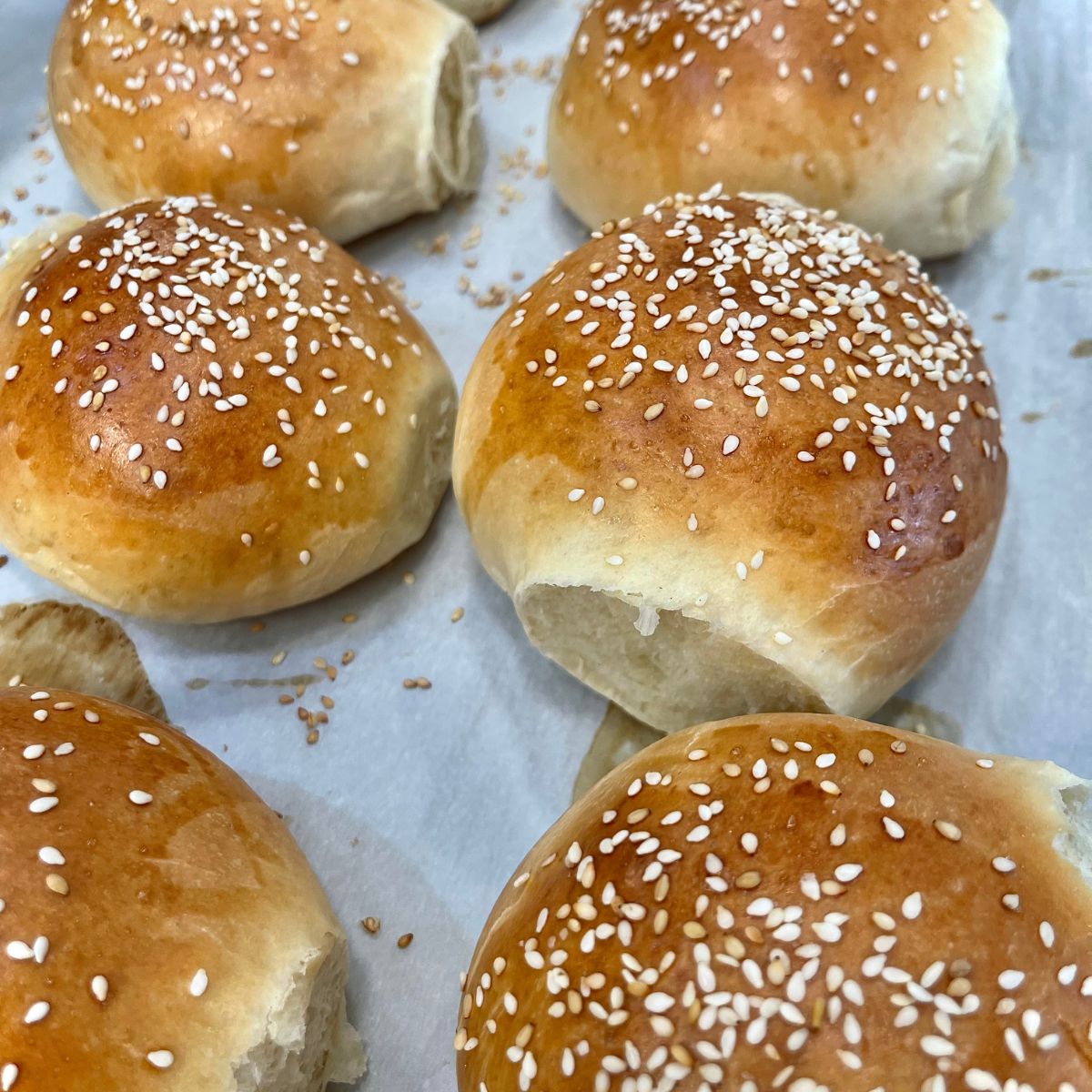 The Most Incredible Sourdough Discard Rolls You'll Ever Make - Meals ...
